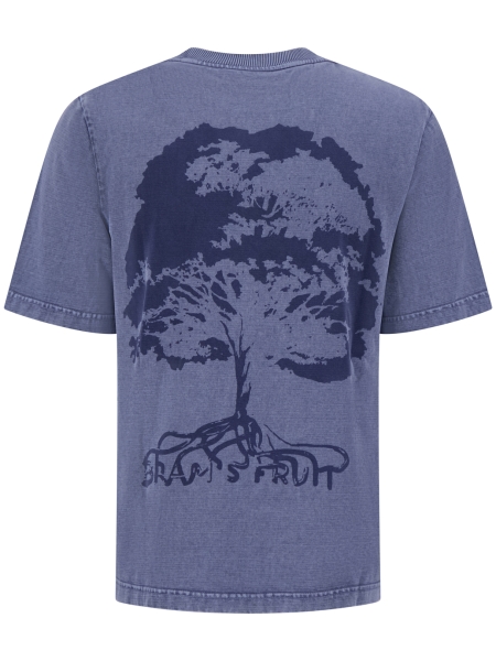 Brams fruit online kopen bij hansvoortman.nl